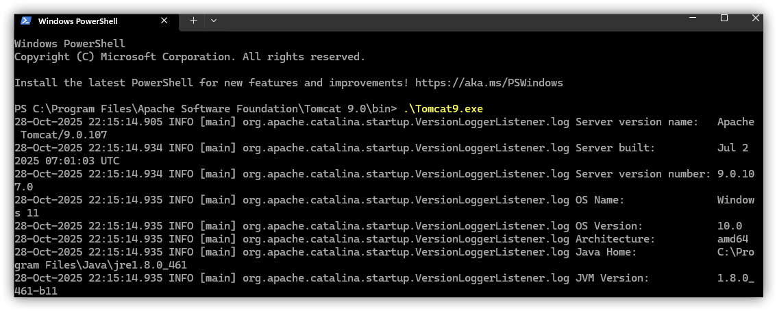 Where ANSI-Escape Sequences and RCE Converges